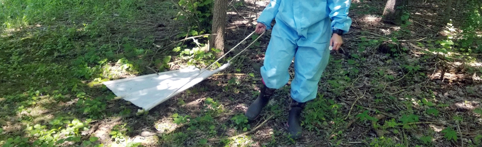 Tick Awareness - Westmoreland Conservation District