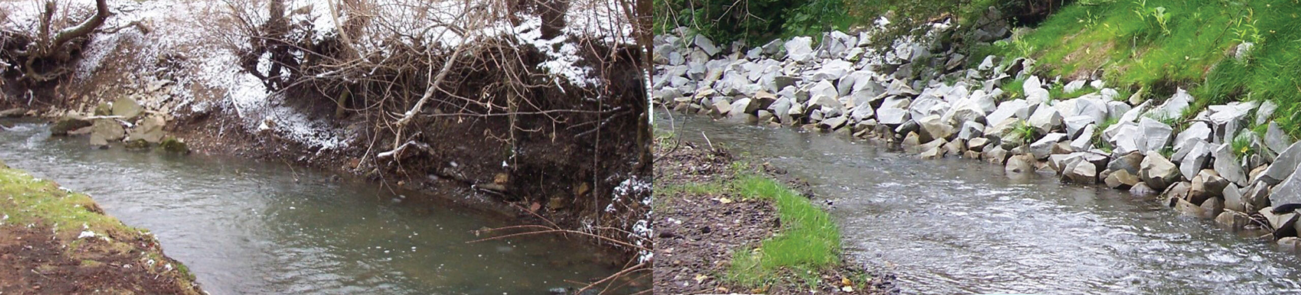 Streambank Stabilization Resources for Homeowners - Westmoreland ...